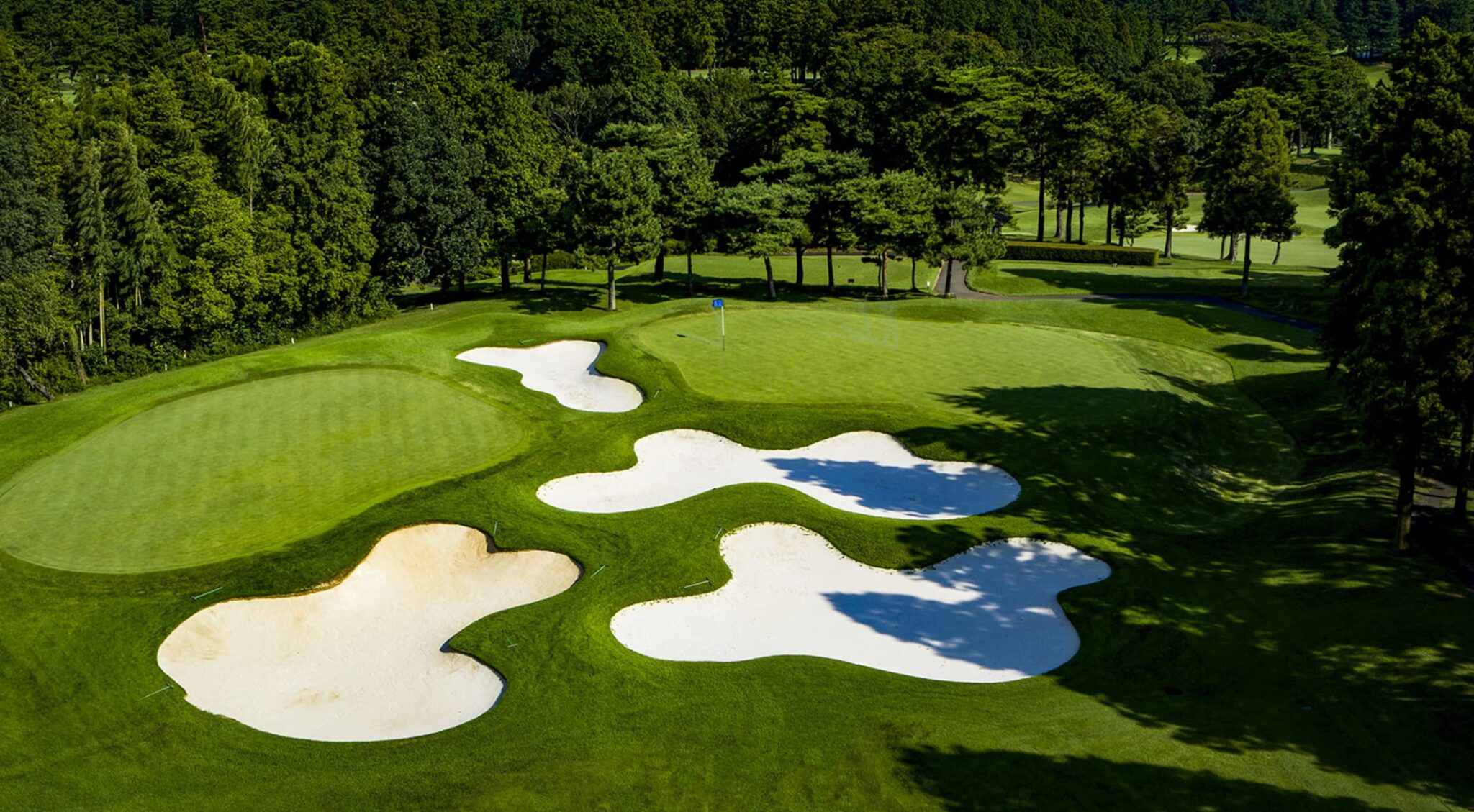 The Zozo Championship 2024